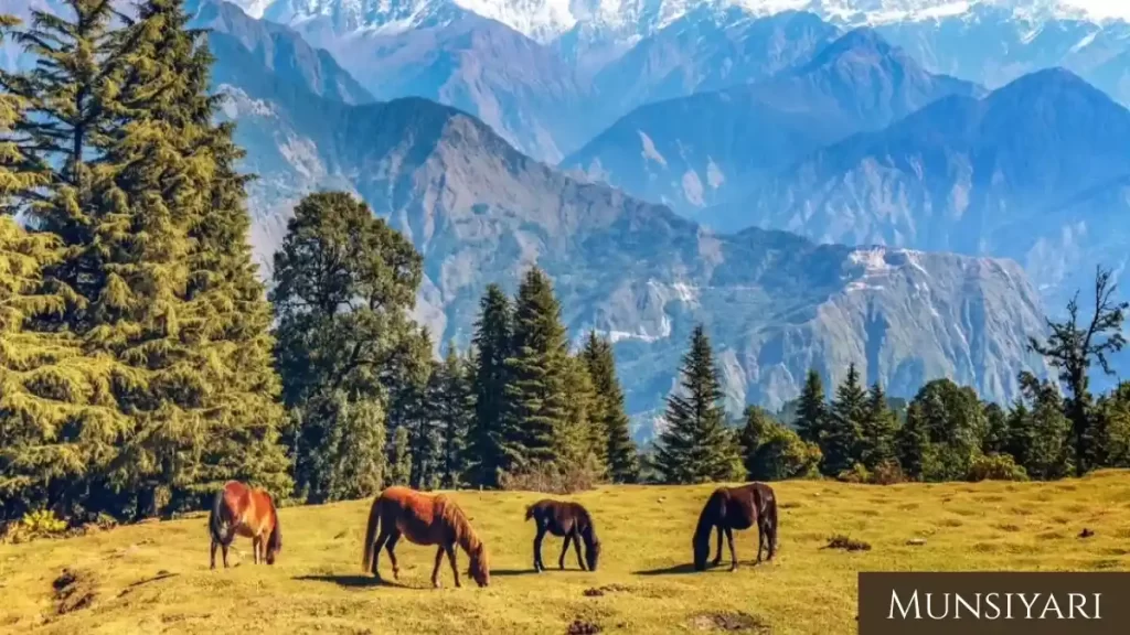 Discover the Best Places to Visit in Pithoragarh